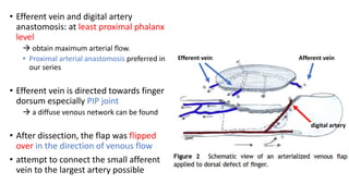 Clinical applications of free arterialized venous flaps | PDF