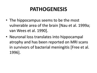 Pathophysiology and Treatment of Meningoencephalitis - A journal ...