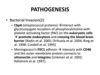 Pathophysiology and Treatment of Meningoencephalitis - A journal ...