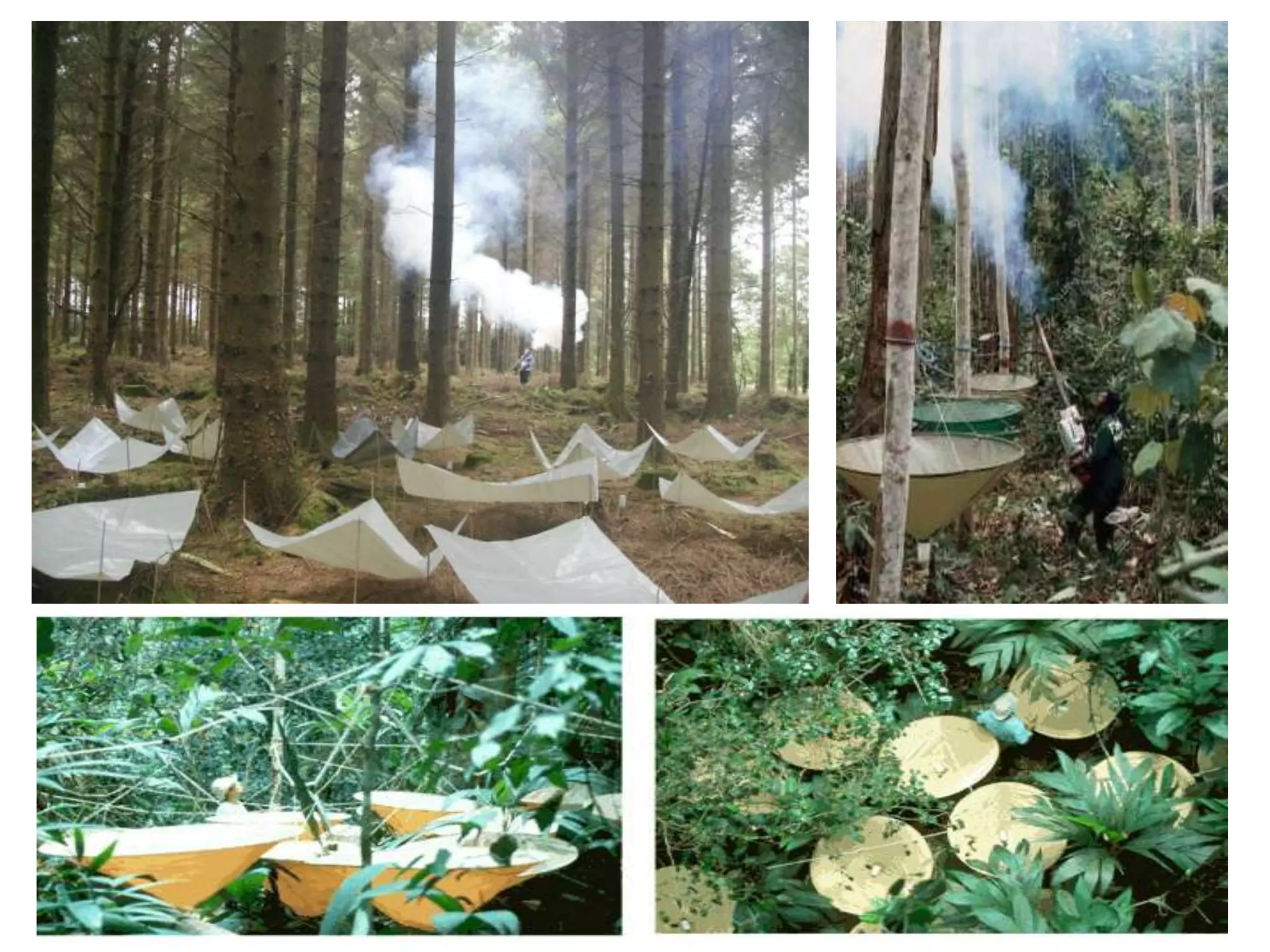 Journal reporting 161 | PPTX