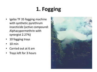 Journal reporting 161 | PPTX