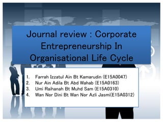 Journal review - corporate entrepreneurship in organisational life ...