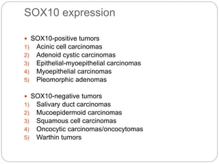 Review and Updates of Immunohistochemistry in Selected Salivary Gland ...