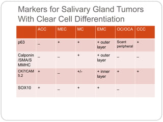Review and Updates of Immunohistochemistry in Selected Salivary Gland ...