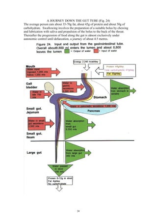 Journey down the gut | PDF