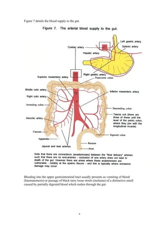Journey down the gut | PDF