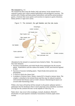 Journey down the gut | PDF