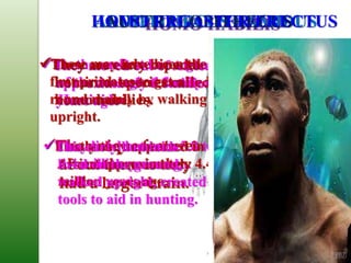 A Presentation on Journey from monkey to man.pptx