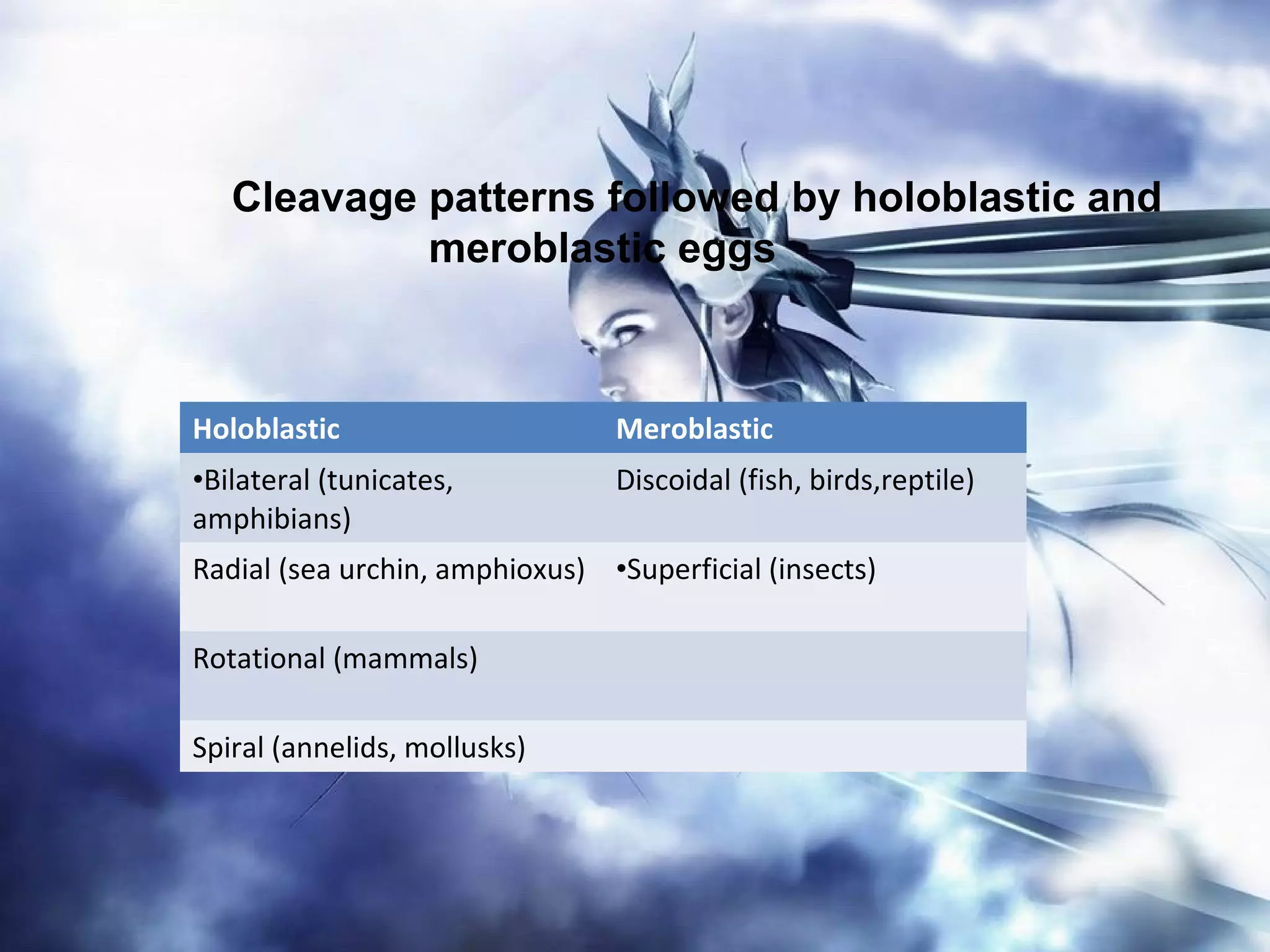 Journey of an Embryo | PPT