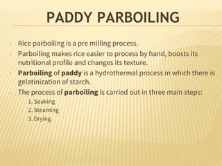 Journey Of Rice, From Paddy To Parboiled | PPTX