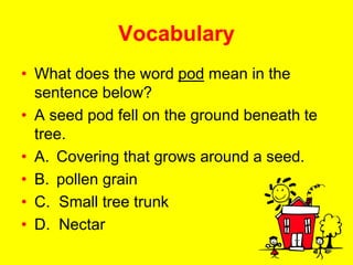Journey's grade 2 lesson 25 | PPTX