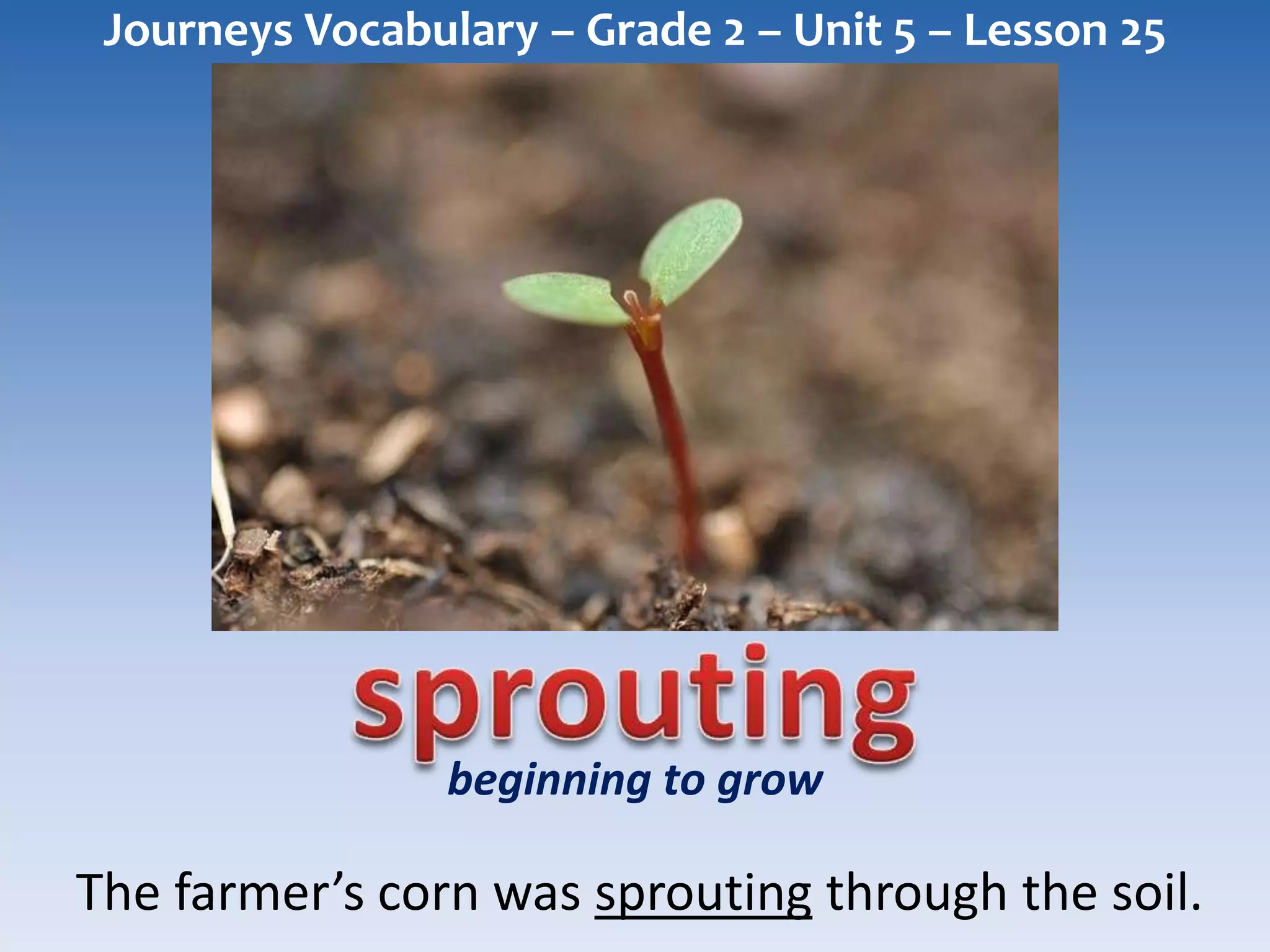 Journeysvocabulary_grade2_unit5_25 | PPT
