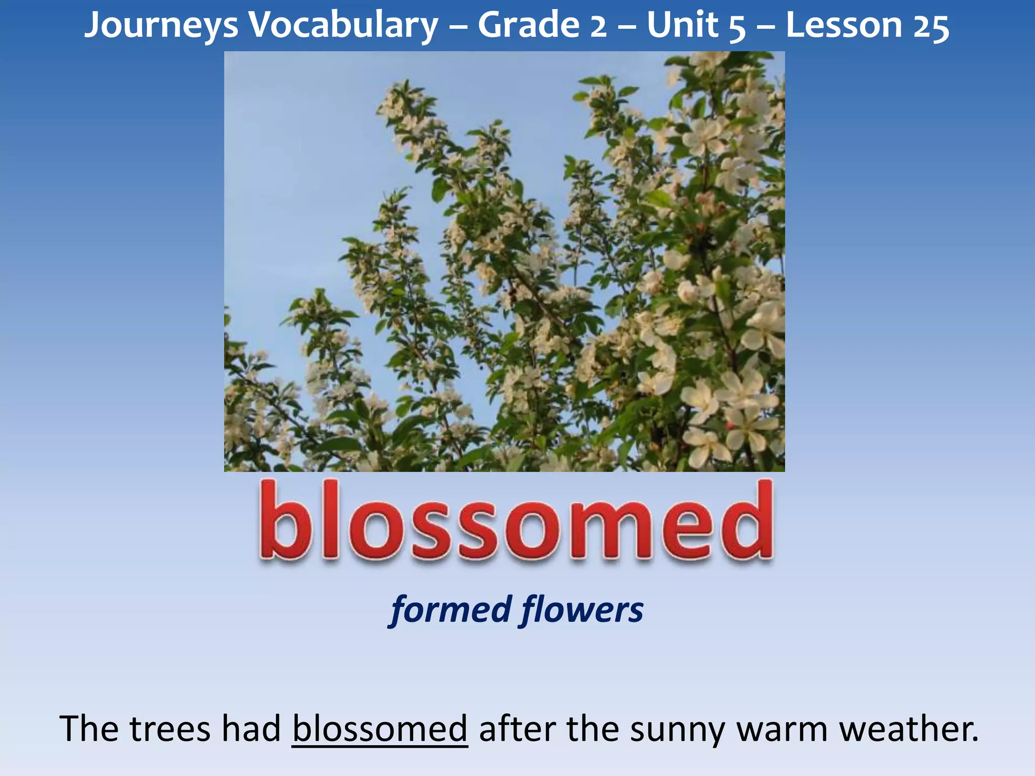 Journeysvocabulary_grade2_unit5_25 | PPT