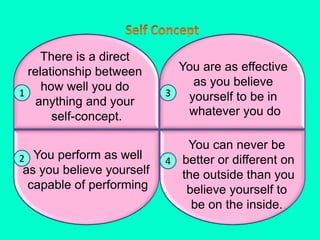 Journey to sef development | PPT