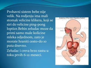 Jovana vranjes III4 | PPTX