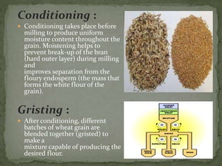 wheat flour mills in Pakistan | PPTX