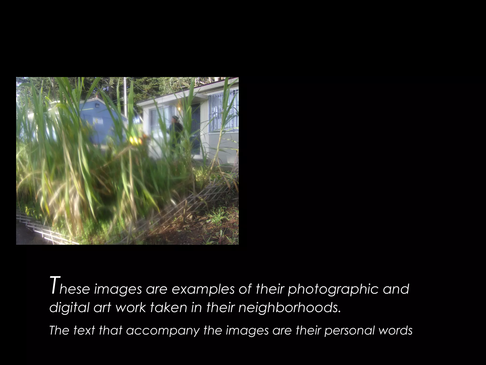 Joy Liu - Art Education Overview | PPT