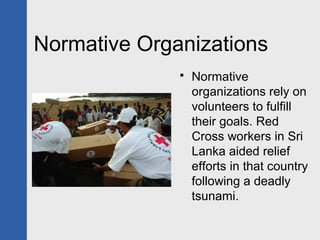 Groups and Organizations | PPT