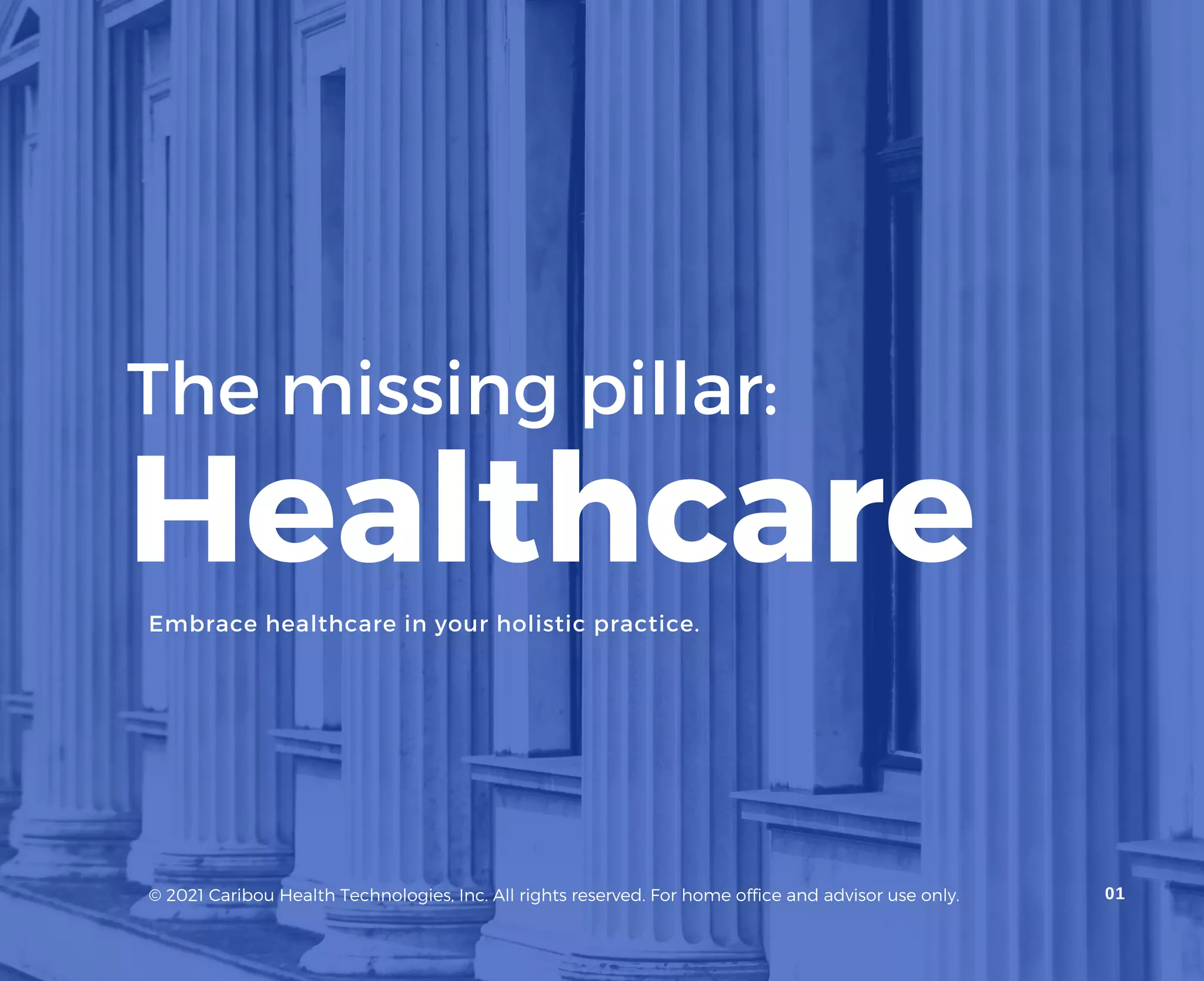 The Missing Pillar: Healthcare | PPT