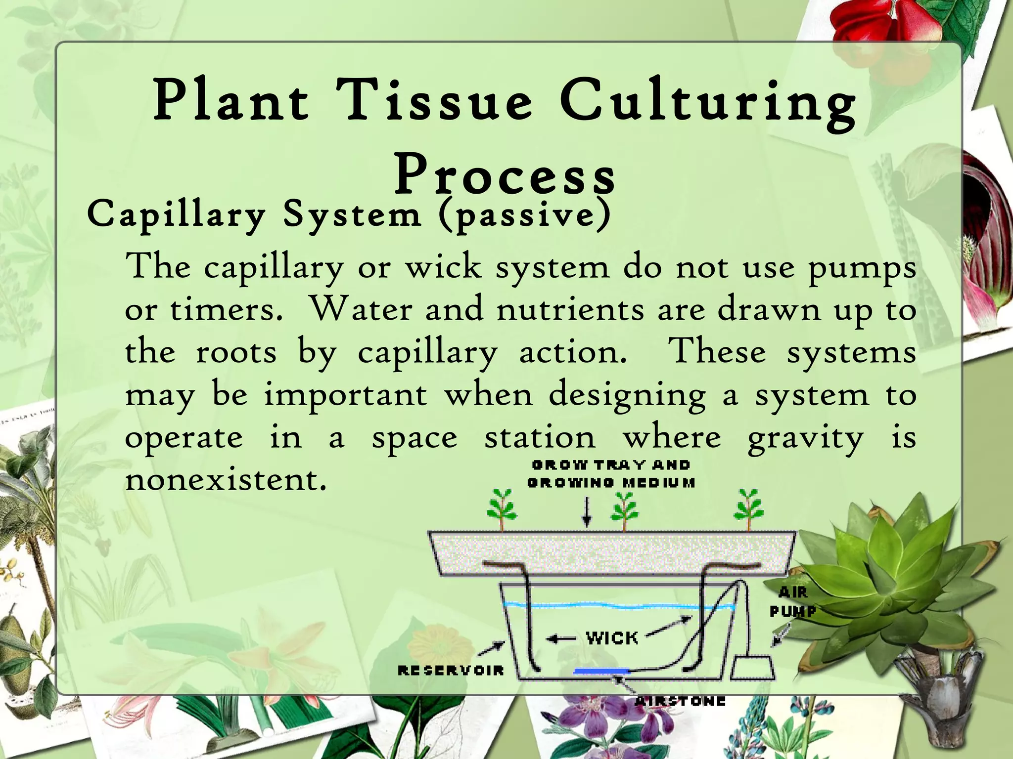 HYDROPHONICS | PPT