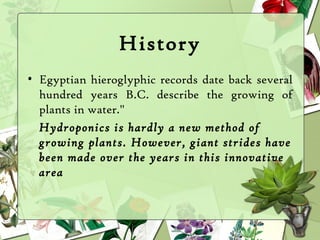 HYDROPHONICS | PPT