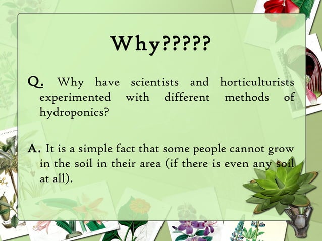 HYDROPHONICS | PPT | Agriculture | Industries