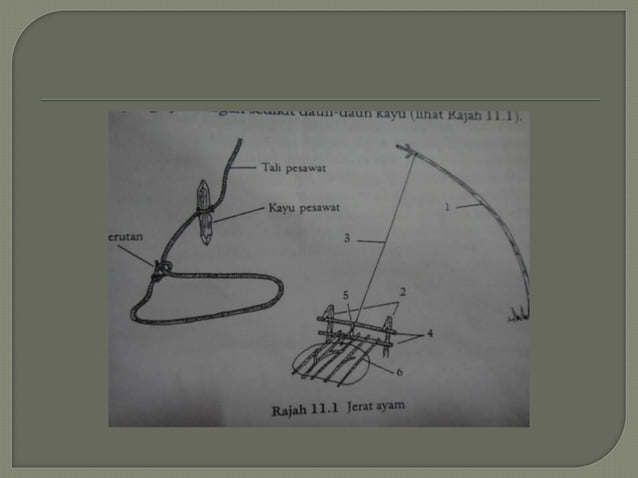 Jpa ikhtiar hidup full (1) | PPTX