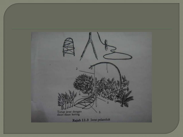 Jpa ikhtiar hidup full (1) | PPTX