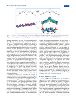 A Chiroptical Photoswitchable DNA Complex | PDF