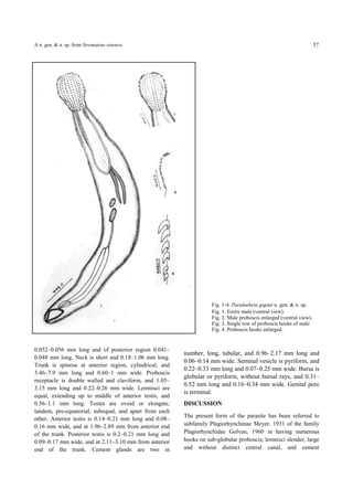 On Paralueheia guptai n. gen. & n. sp. (Acanthocephala ...