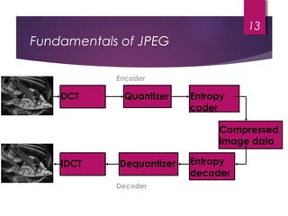 Jpeg and mpeg ppt | PPT