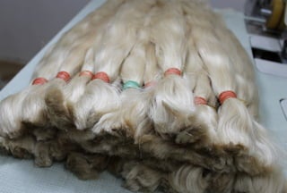 Hair | PDF