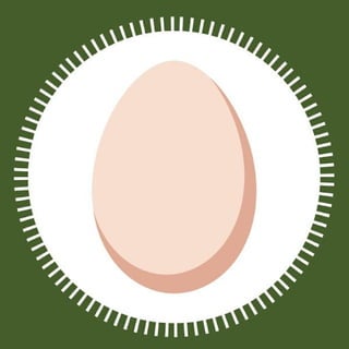 Eggs | PDF
