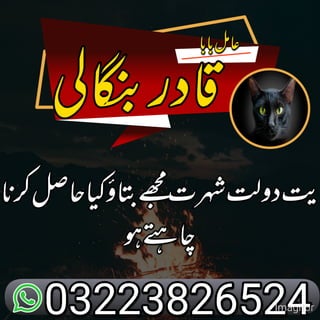 Aamil baba in islamaad Mohabbat ma kamiyabi | PDF