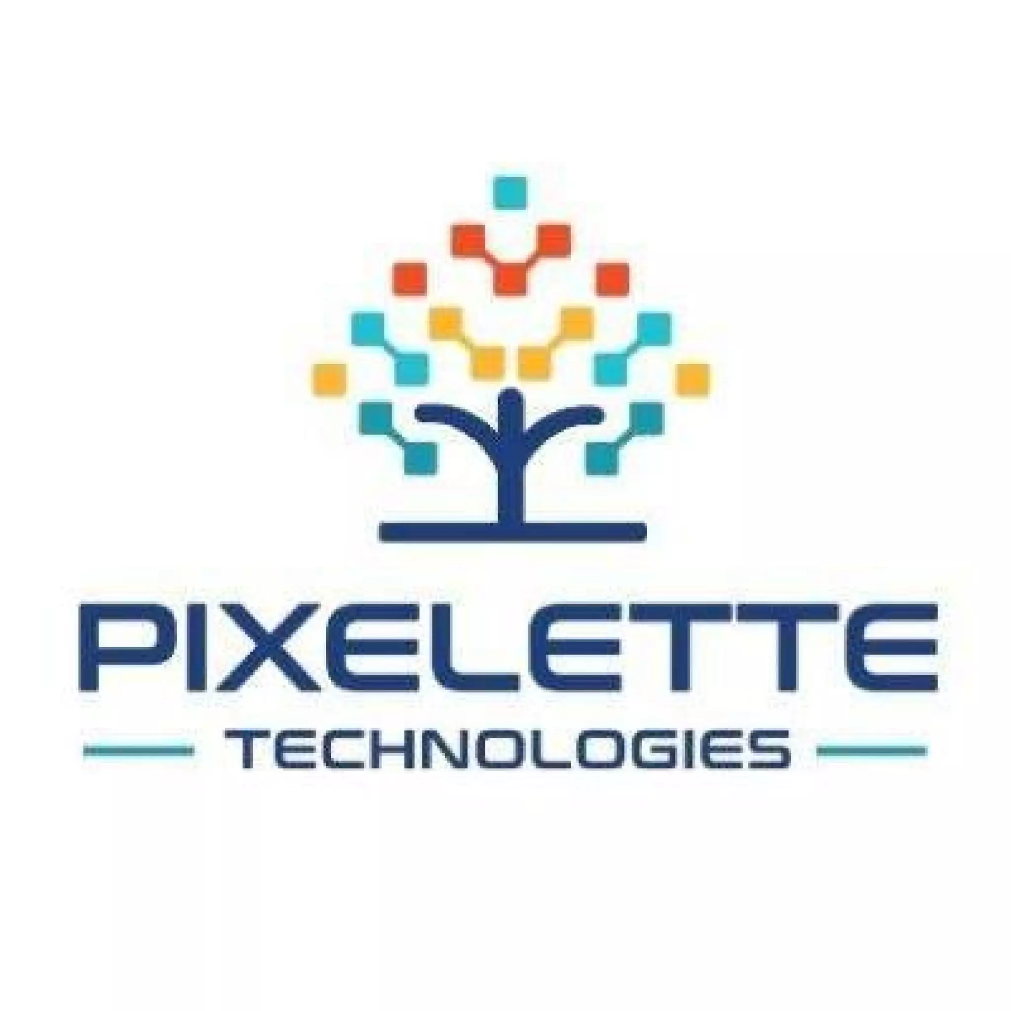 Pixelette Technologies | PDF