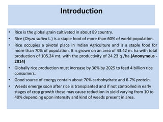HERBICIDE COMBINATION FOR CONTROL OF COMPLEX WEED FLORA IN TRANSPLANTED ...