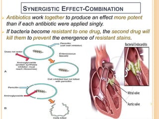 Gentamicin Aminoglycoside Antibiotic | PPTX