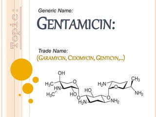 Gentamicin Aminoglycoside Antibiotic | PPTX