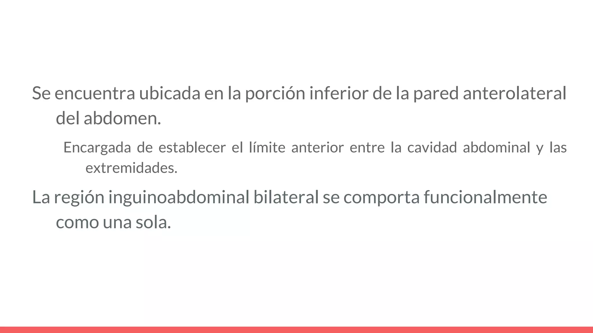 Anatomía de la región inguinal | PPTX
