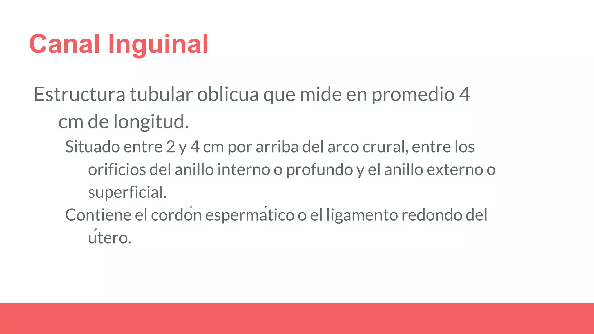 Anatomía de la región inguinal | PPTX