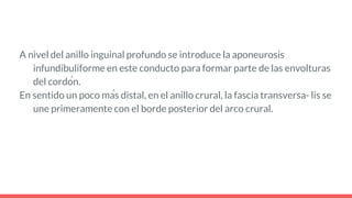 Anatomía de la región inguinal | PPTX