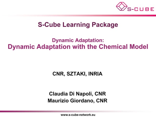 S-CUBE LP: Dynamic Adaptation: Dynamic Adaptation with the Chemical ...