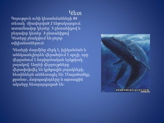 Jrayin kendaniner | PPTX