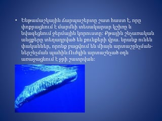 Jrayin kendaniner | PPTX