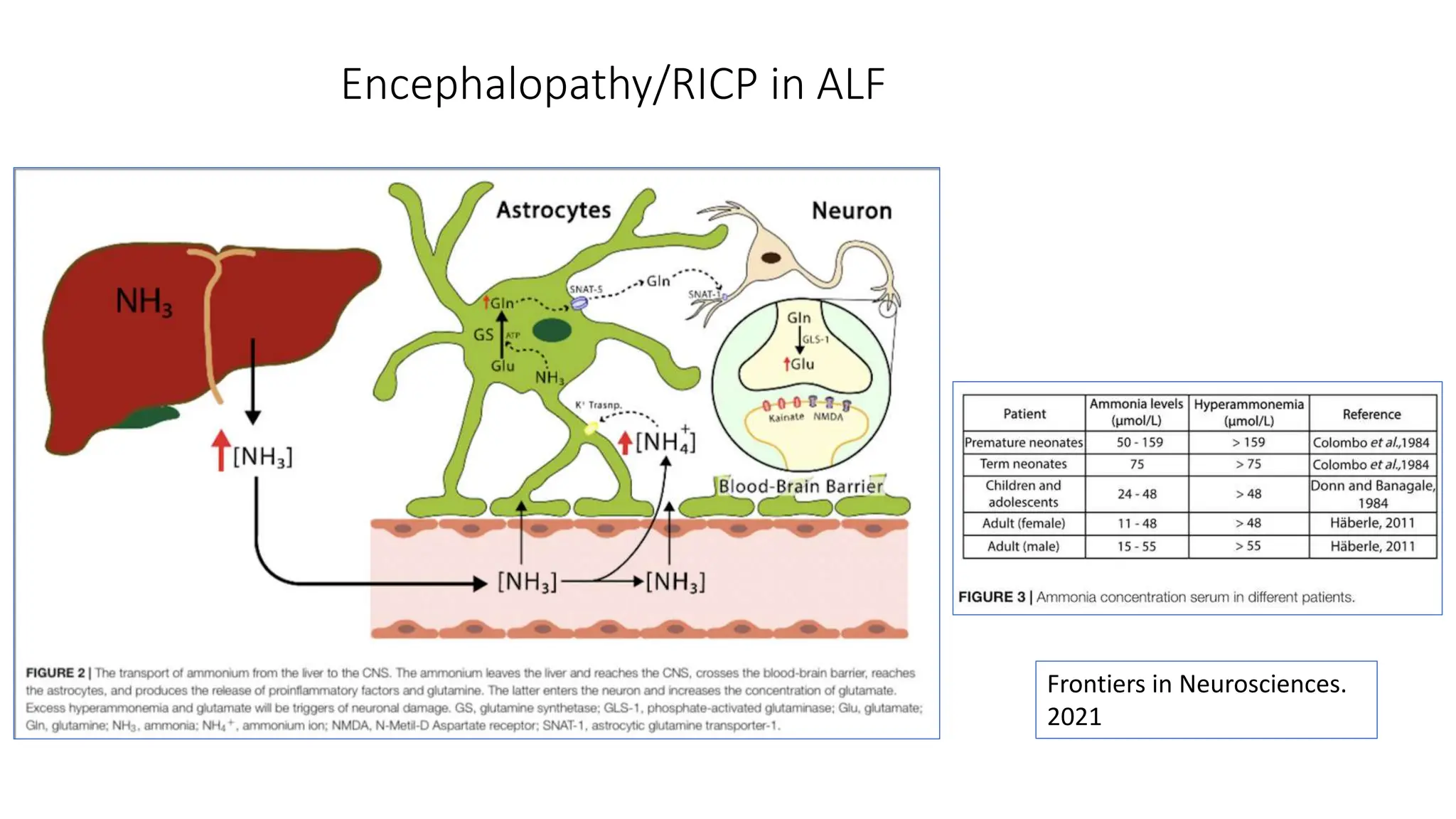 Presentation on acute liver failure.pptx