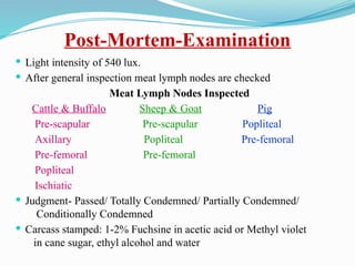 Anti mortem and Post mortem examination of Animals | PPTX