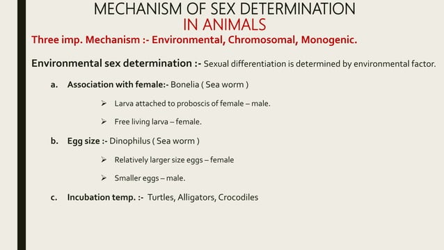 Sex determination sex linkage and multiple allels | PPTX