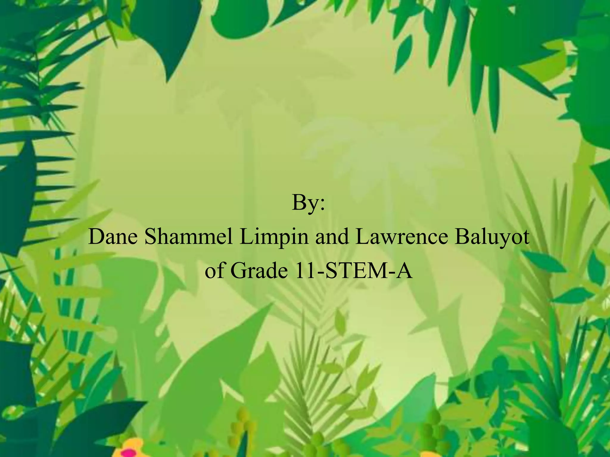 JRIorion-STEMA-21stLit-Region2 | PPTX