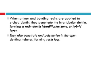 Esthetic Dentistry: Current Options for Resin-Dentin Bonding | PDF