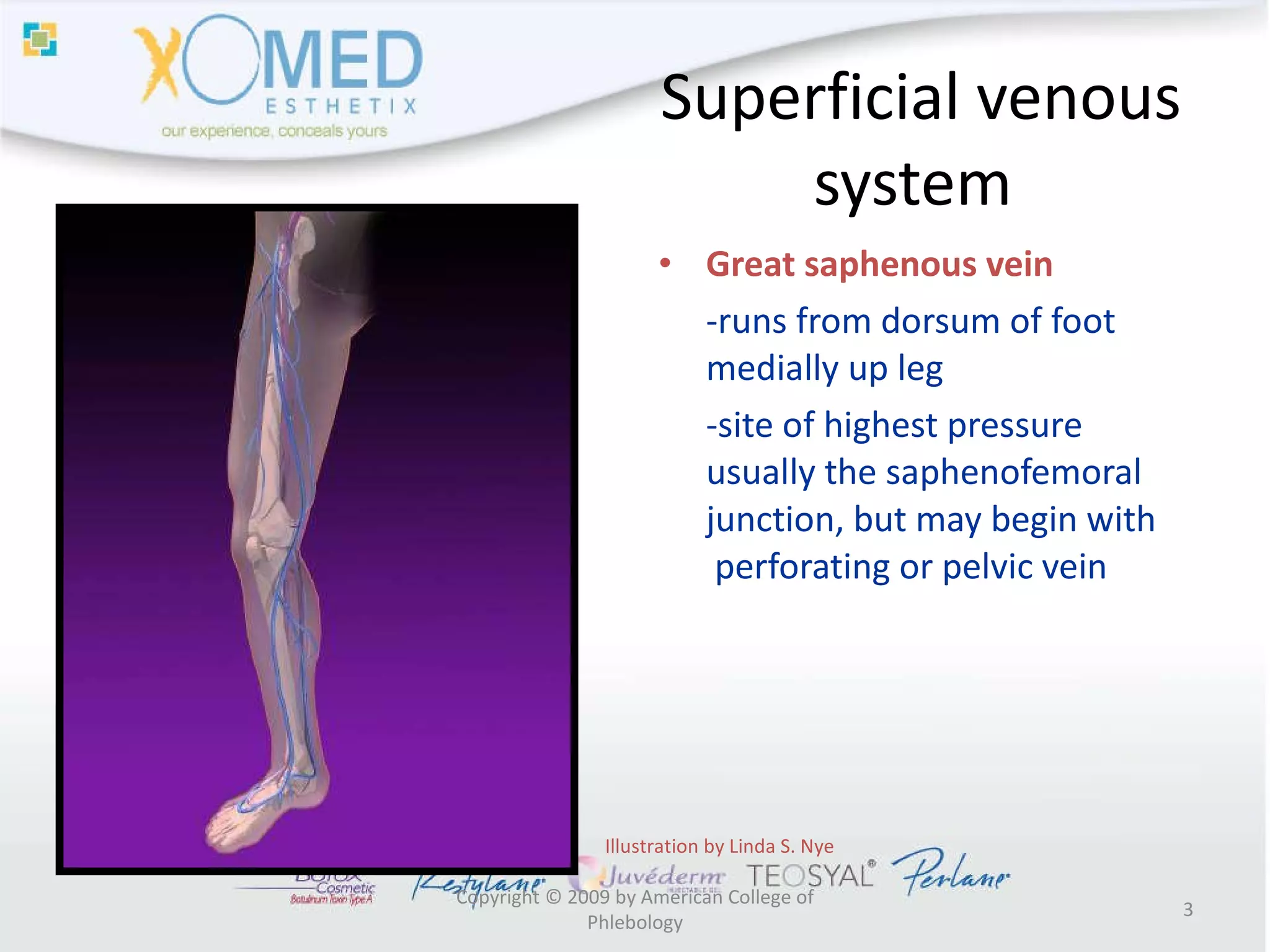 Jr veins anatomy and physiology | PPT